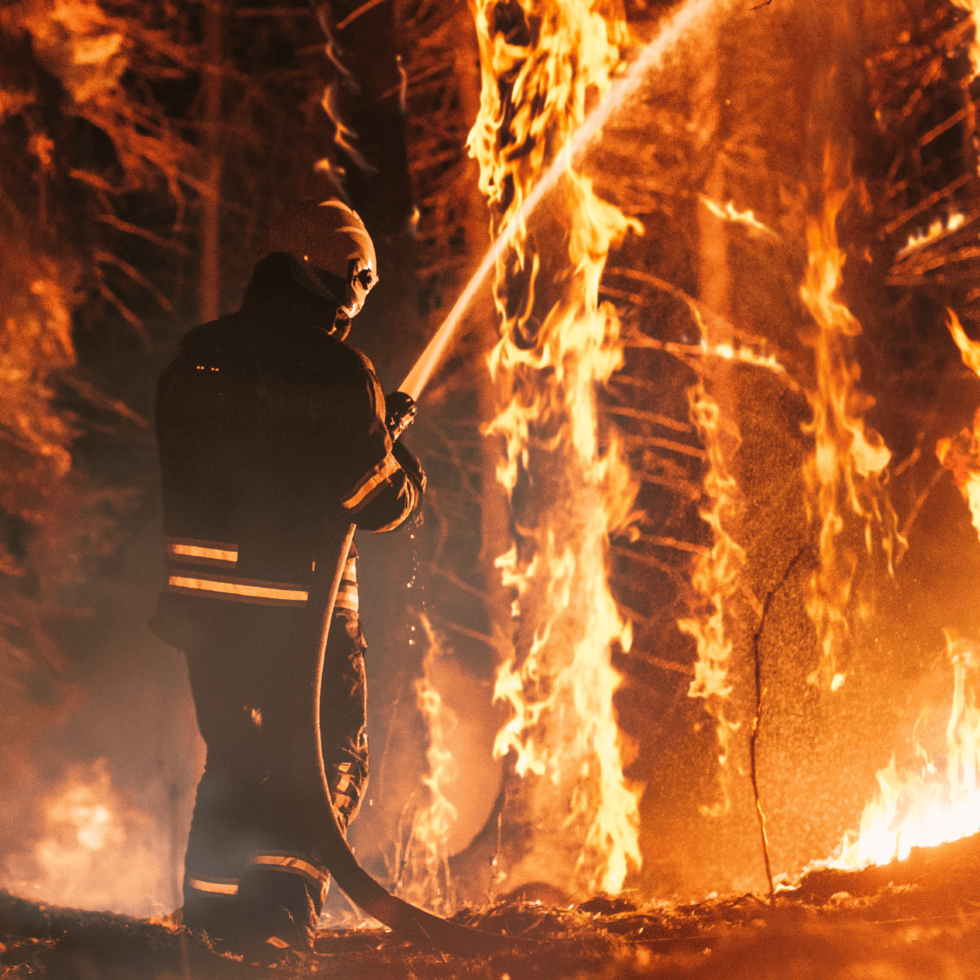 AI vs. Wildfire - USC Viterbi | Magazine AI vs. Wildfire - USC Viterbi | Magazine